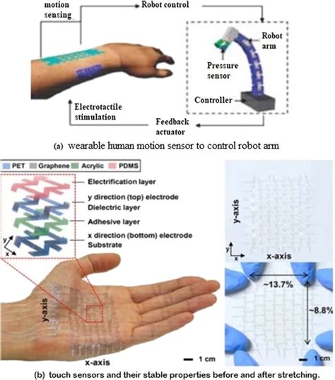 Graphene Wearable Electrode 72 Download Scientific Diagram