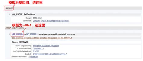 荧光定量pcr（qpcr）——引物设计篇 知乎