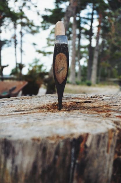 Premium Photo Axe On Tree Stump