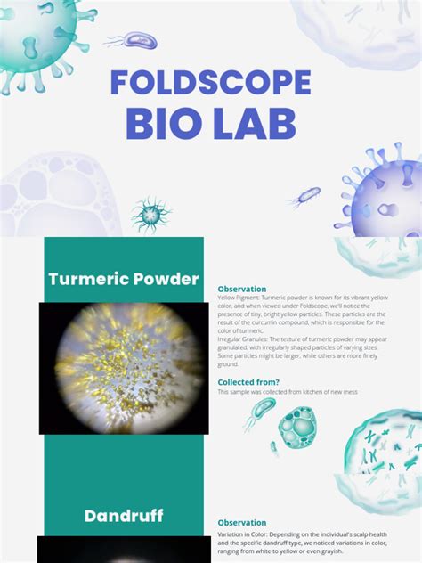 Foldscope Assignment Pdf Textiles Turmeric