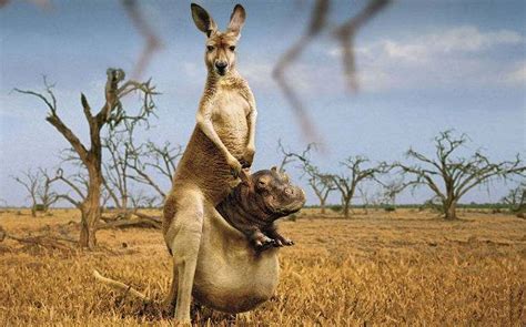 Git子模块实践 我们