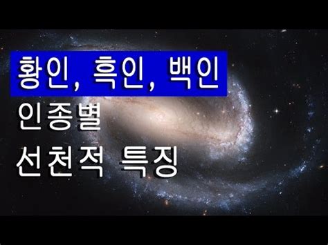 인종 황인 흑인 백인 별 특징을 알아보자 챈스 TV YouTube