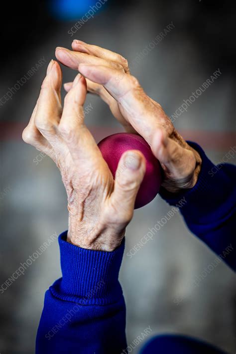 Physical Exercise Program Stock Image C047 9011 Science Photo Library