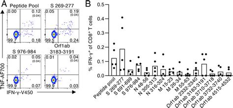 Identification Of Sars Cov 2−specific Hla A 02 01−restricted Cd8 T