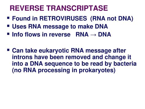 Viruses Bacteria And Prions Ppt Download