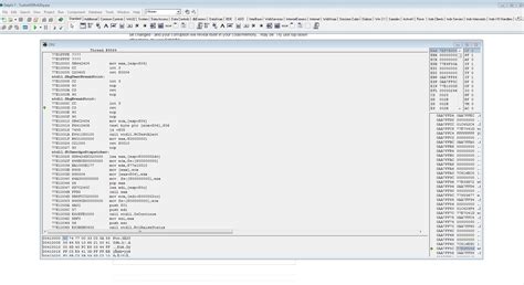 Crash Delphi Project Having APPCRASH Because Of Project S DSK File That Was Taken From Another