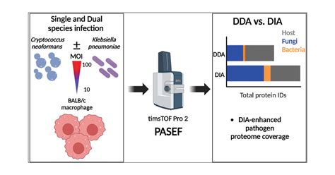 Comparative Cross Kingdom Dda And Dia Pasef Proteomic Profiling
