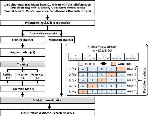 Figure 2 From Gallbladder Polyp Classification In Ultrasound Images