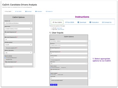 Shiny Interface For Cadra • Cadrashiny