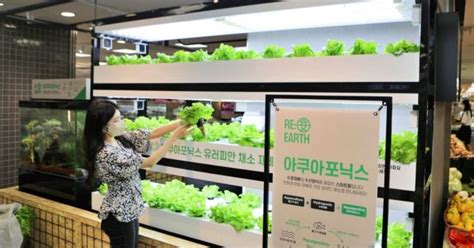 롯데마트·슈퍼 딸기·채소 등 스마트팜 확대기후위기 대응