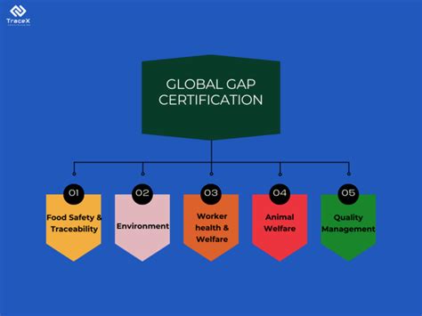 Global Gap Certification Securing Food Safety And Sustainability
