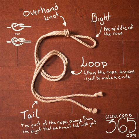 Vocabulary Rope