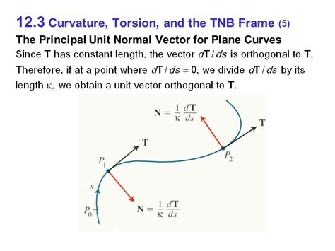 Curvature Vector At Collection Of Curvature Vector Free For Personal Use