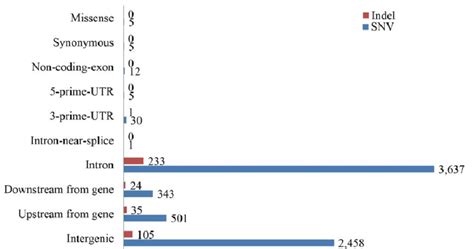 Distribution Of Snps And Indels In The Genomic Sequences Analyzed