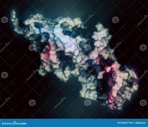 Human Chorionic Gonadotropin Hcg Glycoprotein Hormone Chemical