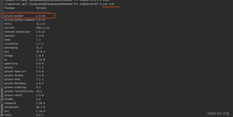 6pytest生成allure报告 Csdn博客