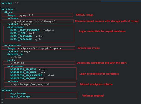 Want To Make Storage Of Docker Persistent The Nuclear Geeks