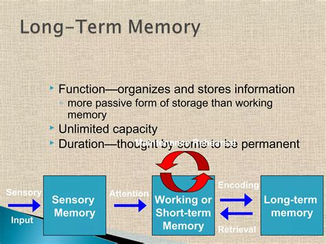 memory and forgetting ppt data storage and warehousing computing