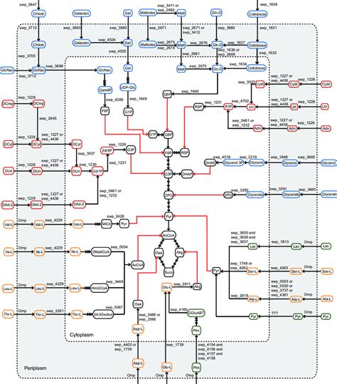 A Schematic Representation Of The Carbon Utilization Pathways For