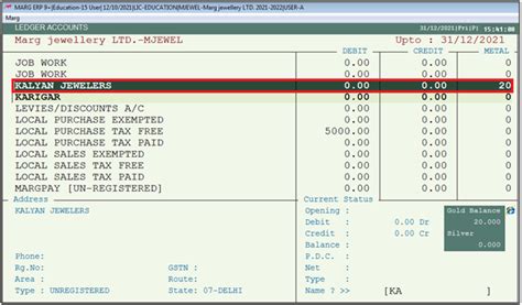 How To View Selected Ledger Transaction With Metal Detail In Jewellery