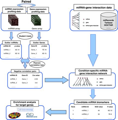 schematic workflow for the identification of potential cancer mirna