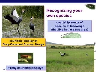 Speciation Types AP Biology Presentation PPT