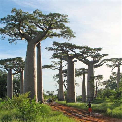 Наталия Ладини — Свобода быть собой!