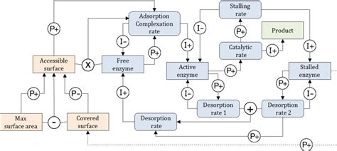 Qualitative Reasoning Model Integrating Literature Explanations About