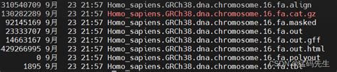 repeatmasker 分析人类基因组上的重复序列 repeatmasker结果分析 csdn博客