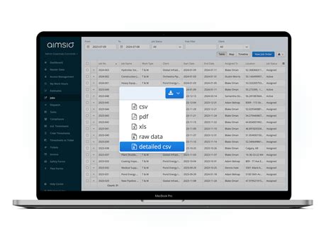 Standard Csv Exports Aimsio Feature