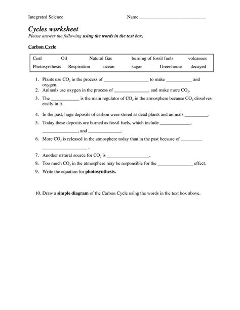 Understanding The Nutrient Cycle Worksheet Answers Revealed