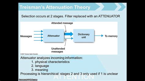 Theories Of Attention Youtube