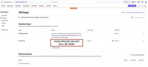 Integrating With Stripe Moesif Docs