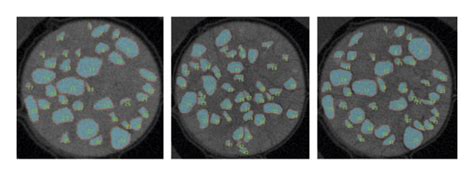 Edge Detection Of Rock Blocks In Ct Images The Edge Detection Result Download Scientific