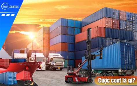 Cược Cont Là Gì Thủ Tục Và Chi Phí Cược Cont Năm 2025