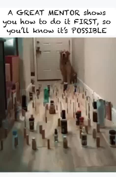 P V Sasi Kiran Posted On Linkedin