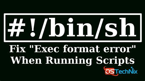 Fix Exec Format Error When Running Scripts With Run Parts Command