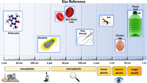 What Microplastics Are Doing To The Brain Body And Reproductive Systems