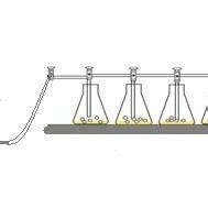 Schematic Representation Of Batch Reactor Download Scientific Diagram