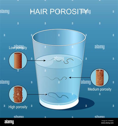 Hydrophobic Effect