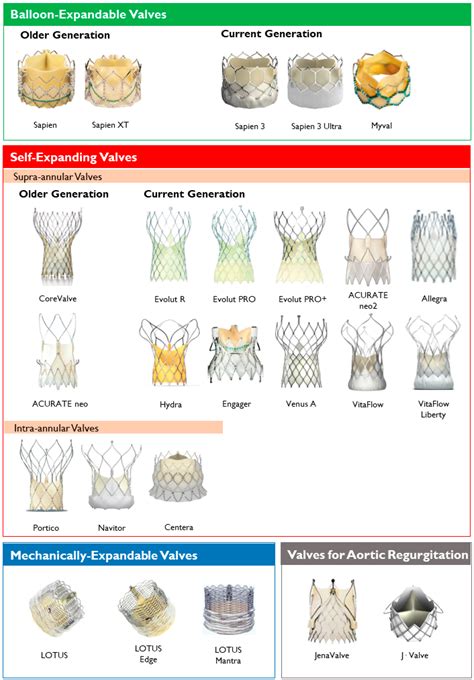 Types Of Artificial Heart Valves