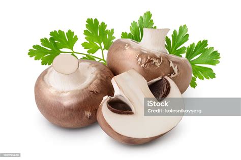 클리핑 경로와 전체 깊이의 필드가있는 흰색 배경에 고립 된 로얄 브라운 샴페인 0명에 대한 스톡 사진 및 기타 이미지 0명 건강한 식생활 균류 Istock