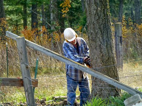 Rural Revolution Small Scale Logging