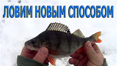 ОКУНЯ ЛОВИМ НОВЫМ СПОСОБОМ.( Глухозимье,конус,крючок,стопор ) - YouTube
