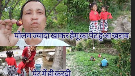 जोली कोर्ट की जानकारी😱😱video Viral Hemu Youtube