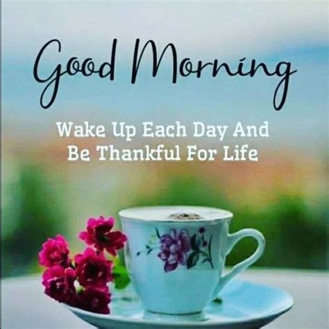 Kalpana 1769 Kalpana • Threads Say More