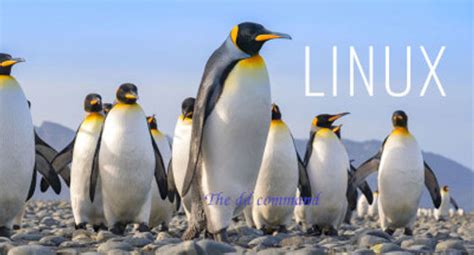 Using The Dd Command For A Linux Iso Linux Org