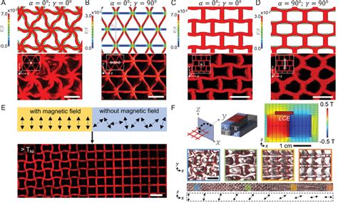 Introduction Of Different Lattice Geometries And Area‐specific Director