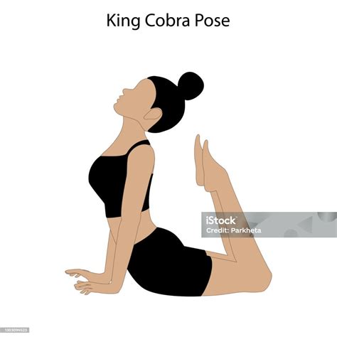 킹 코브라 포즈 요가 운동 건강한 라이프스타일 벡터 일러스트레이션 가냘픈에 대한 스톡 벡터 아트 및 기타 이미지 가냘픈