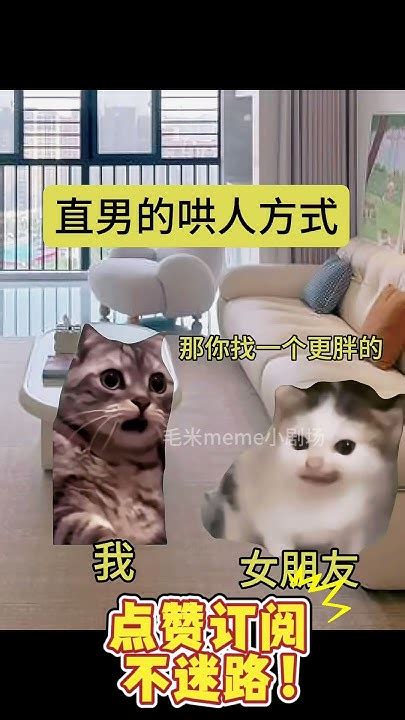 直男的哄人方式 猫meme 搞笑 猫meme小剧场 情侣 男生和女生 Youtube